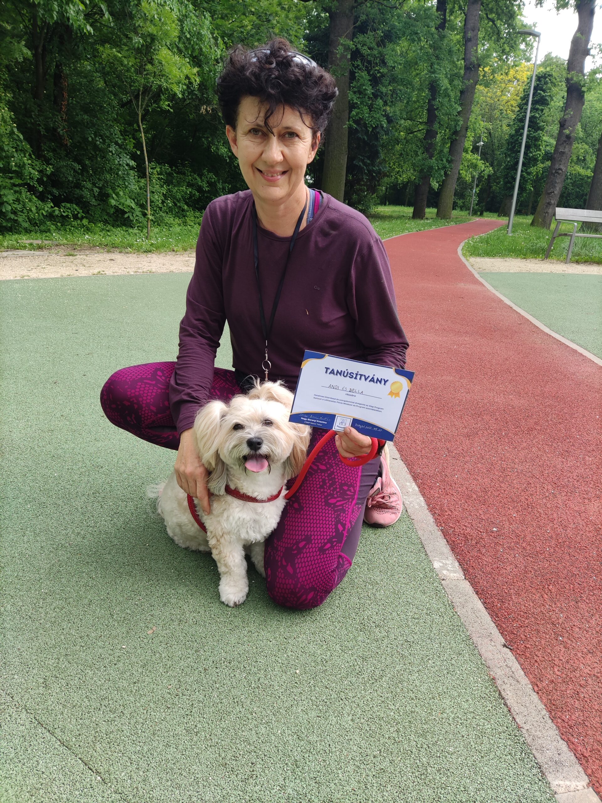 Nyitólap - DOGSMILE